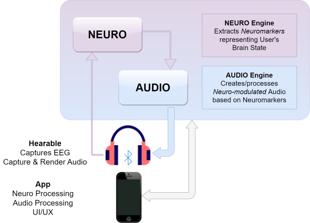 Using your Head: An Interview with Segotia - Soundskrit